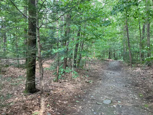 Best Hikes and Trails in Fort Dummer State Park | AllTrails