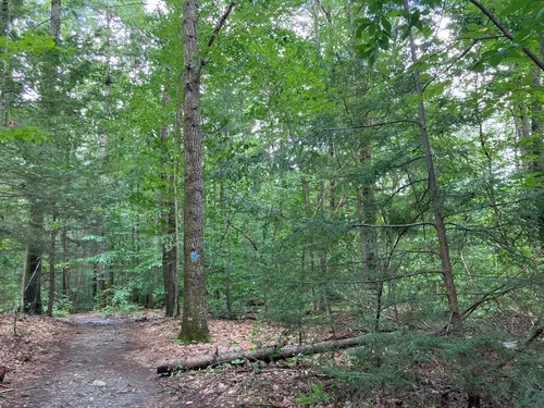 Best Hikes and Trails in Fort Dummer State Park | AllTrails