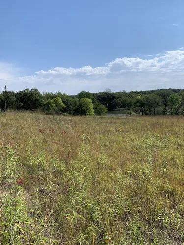 Best Hikes and Trails in Timber Point Lake Wildlife Management Center ...