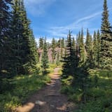 Obsidian Trail, Oregon - 718 Reviews, Map | AllTrails