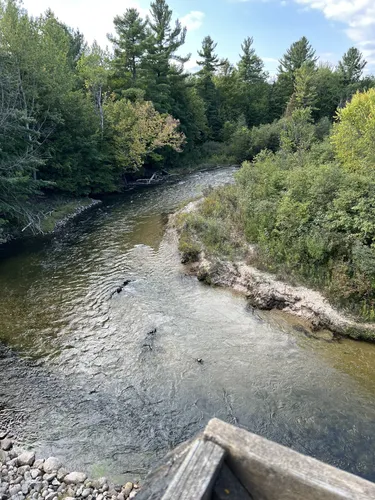 Best Hikes and Trails in Grand Traverse Natural Education Reserve ...