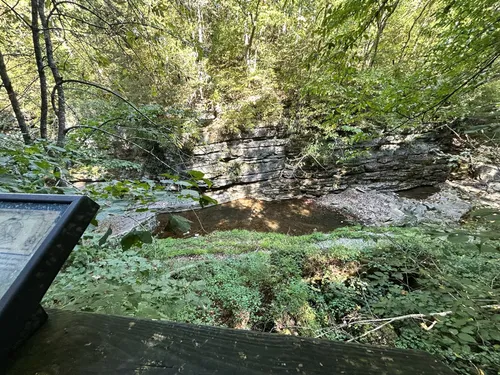 Raven Run Park: de beste routes om te wandelen | AllTrails