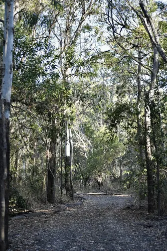 Best Hikes and Trails in Baldwin Swamp Environmental Park | AllTrails