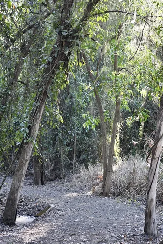 Best Hikes and Trails in Baldwin Swamp Environmental Park | AllTrails