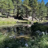Griffith Spring Trail, Arizona - 358 Reviews, Map | AllTrails