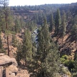 Riley Ranch Trails, Oregon - 391 Reviews, Map | AllTrails