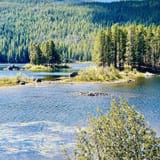 Monarch Lake Loop, Colorado - 2,248 Reviews, Map | AllTrails
