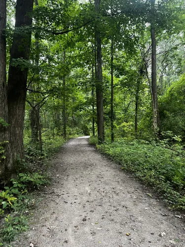 Best Hikes and Trails in Fallen Timber Battlefield Park | AllTrails