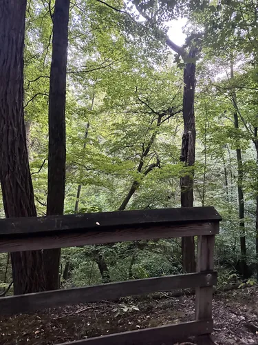 Best Hikes and Trails in River Styx Valley North Park | AllTrails