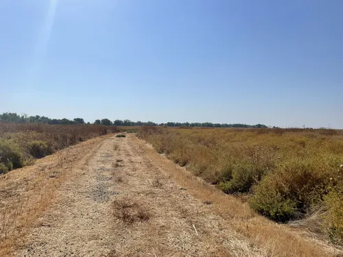 2023 Best Easy Trails in Merced | AllTrails