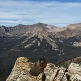 Mount Ida Trail, Colorado - 1,524 Reviews, Map | AllTrails