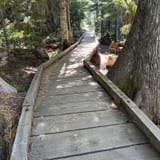 Lost Lake Loop (Lakeshore Trail), Oregon - 578 Reviews, Map | AllTrails