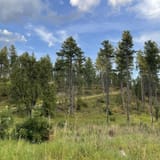 Stratobowl Rim Trail, South Dakota - 881 Reviews, Map | AllTrails