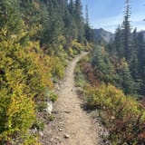 High Divide and Seven Lakes Basin Loop, Washington - 1,194 Reviews, Map ...