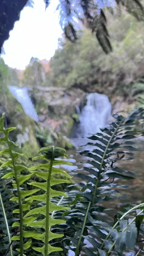 2023 Best Views Trails in Blue Tier Regional Reserve | AllTrails