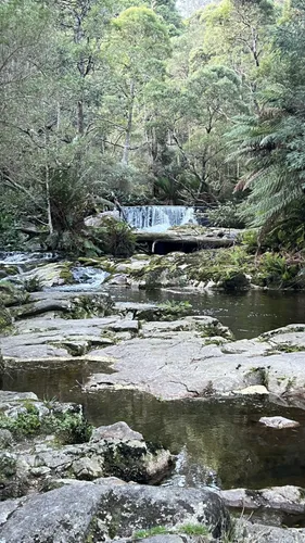 2023 Best Views Trails in Blue Tier Regional Reserve | AllTrails