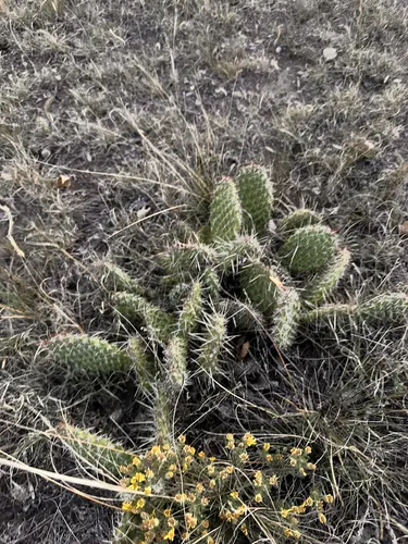 Best Hikes and Trails in Keene | AllTrails