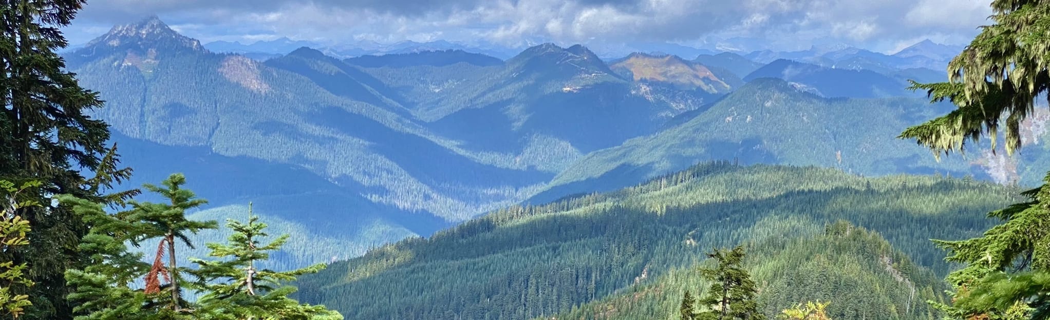 Mount Sawyer via Tonga Ridge Trail, Washington - 331 Reviews, Map ...