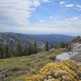 Bogus Basin Loop Trail, Idaho - 252 Reviews, Map | AllTrails