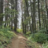 Bogus Basin Loop Trail, Idaho - 252 Reviews, Map | AllTrails