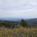 Bogus Basin Loop Trail, Idaho - 252 Reviews, Map | AllTrails