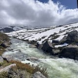 Illawong Walk, New South Wales, Australia - 330 Reviews, Map | AllTrails