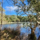 Poona Lake, Queensland, Australia - 73 Reviews, Map | AllTrails