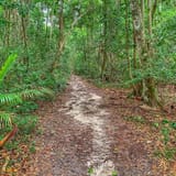 Poona Lake, Queensland, Australia - 73 Reviews, Map | AllTrails