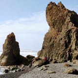 Ruby Beach, Washington - 1,349 Reviews, Map | AllTrails