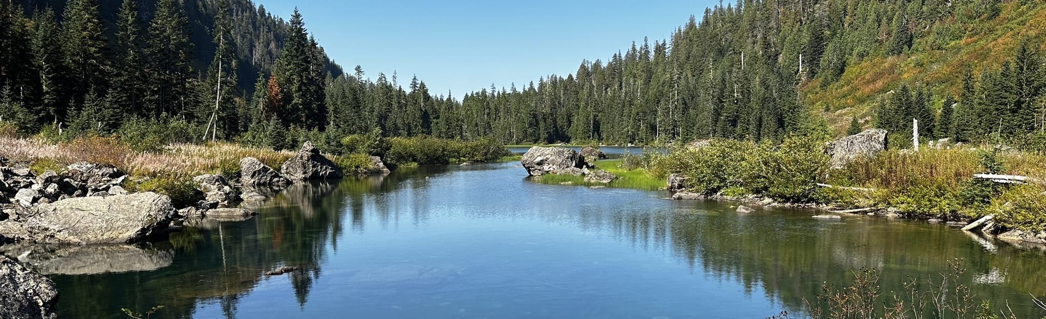 Heather Lake Trail, Washington - 5,394 Reviews, Map | AllTrails