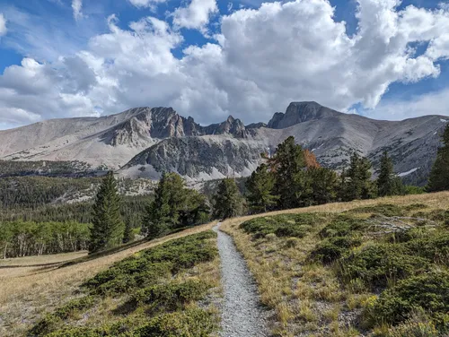 10 Best Hikes and Trails in Great Basin National Park | AllTrails