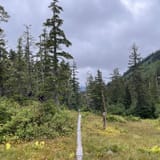 Dan Moller Cabin Trail, Alaska - 229 Reviews, Map | AllTrails