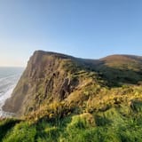 Mercer Bay Loop Track, Auckland, New Zealand - 473 Reviews, Map | AllTrails