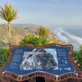 Mercer Bay Loop Track, Auckland, New Zealand - 473 Reviews, Map | AllTrails