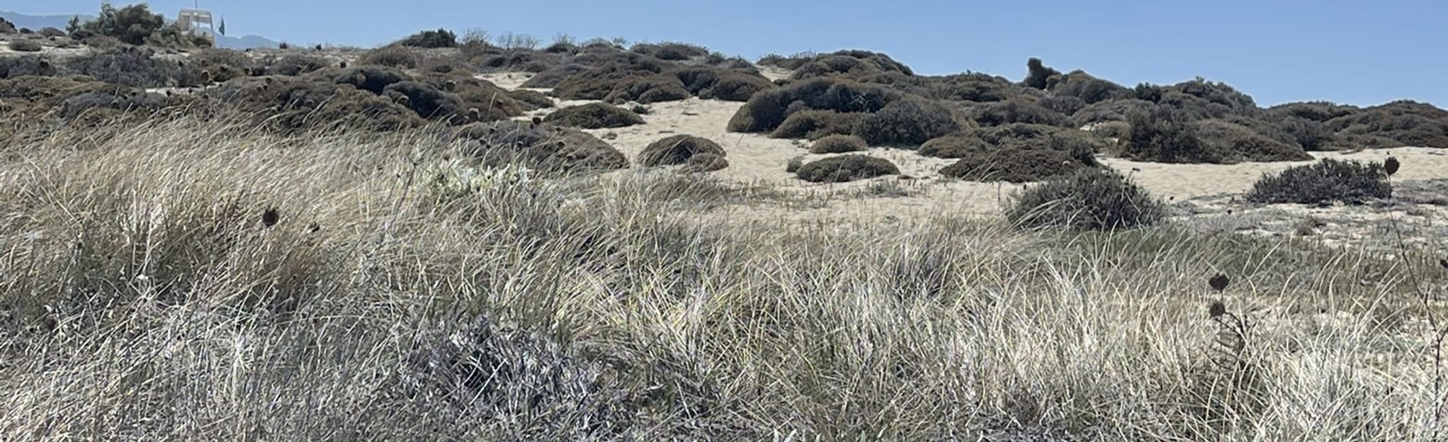 Agios Prokopios beach, chapel and cape Loop, Naxos, Greece - 22 Reviews ...