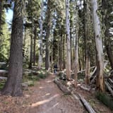 Umbrella and Sahale Falls Loop, Oregon - 1,788 Reviews, Map | AllTrails