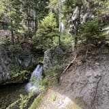 Umbrella and Sahale Falls Loop, Oregon - 1,788 Reviews, Map | AllTrails