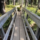 Umbrella and Sahale Falls Loop, Oregon - 1,788 Reviews, Map | AllTrails