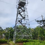 Mount Toby Trail, Massachusetts - 959 Reviews, Map | AllTrails