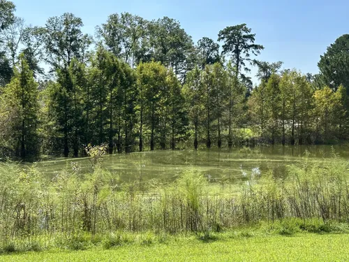 Best Hikes and Trails in Pedrick Pond Park | AllTrails