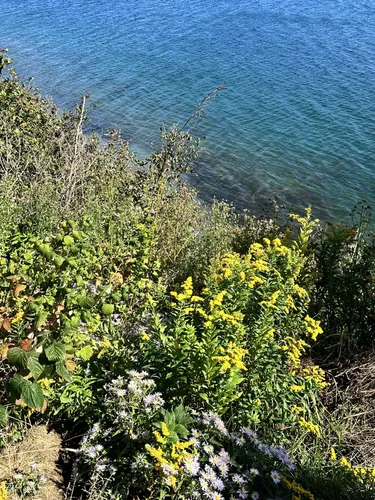 2023 Best Beach Trails in Norman's Cove-Long Cove | AllTrails