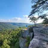 Bee Rock Overlook, Tennessee - 321 Reviews, Map | AllTrails