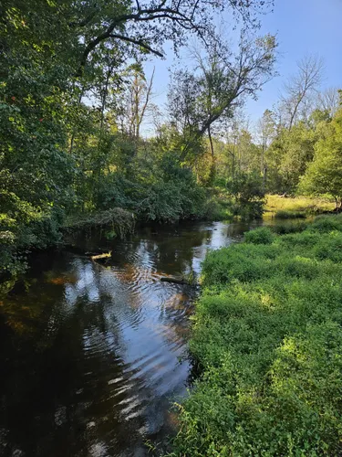 Best Hikes and Trails in Parvin State Park | AllTrails