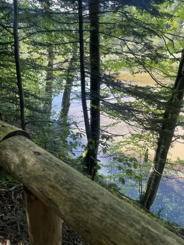 Best Partially Paved Trails in Cisna-Wetlinski Landscape Park | AllTrails