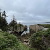 Hermit Island Loop, Maine - 325 Reviews, Map | AllTrails