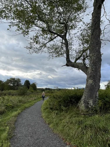 Best Hikes and Trails in Thomas and Palmer Brook Reserve | AllTrails