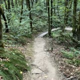 Cooks Butte Loop, Oregon - 399 Reviews, Map | AllTrails