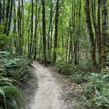 Cooks Butte Loop, Oregon - 399 Reviews, Map | AllTrails