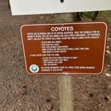 Cooks Butte Loop, Oregon - 399 Reviews, Map | AllTrails