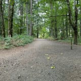 Cooks Butte Loop, Oregon - 399 Reviews, Map | AllTrails